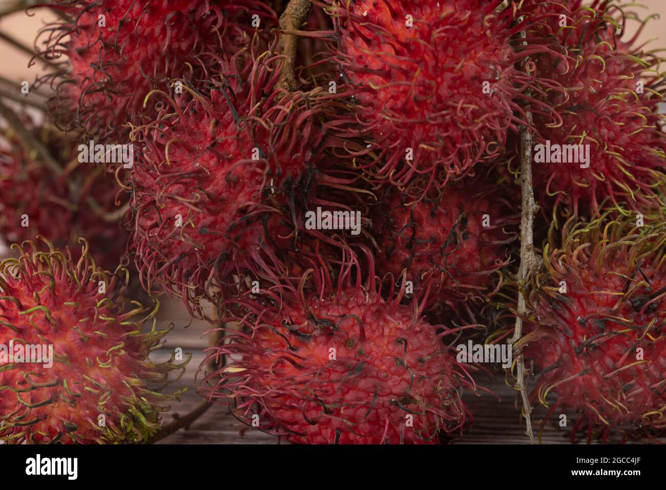 Local fruits called rambutan, red variant which is most common ...