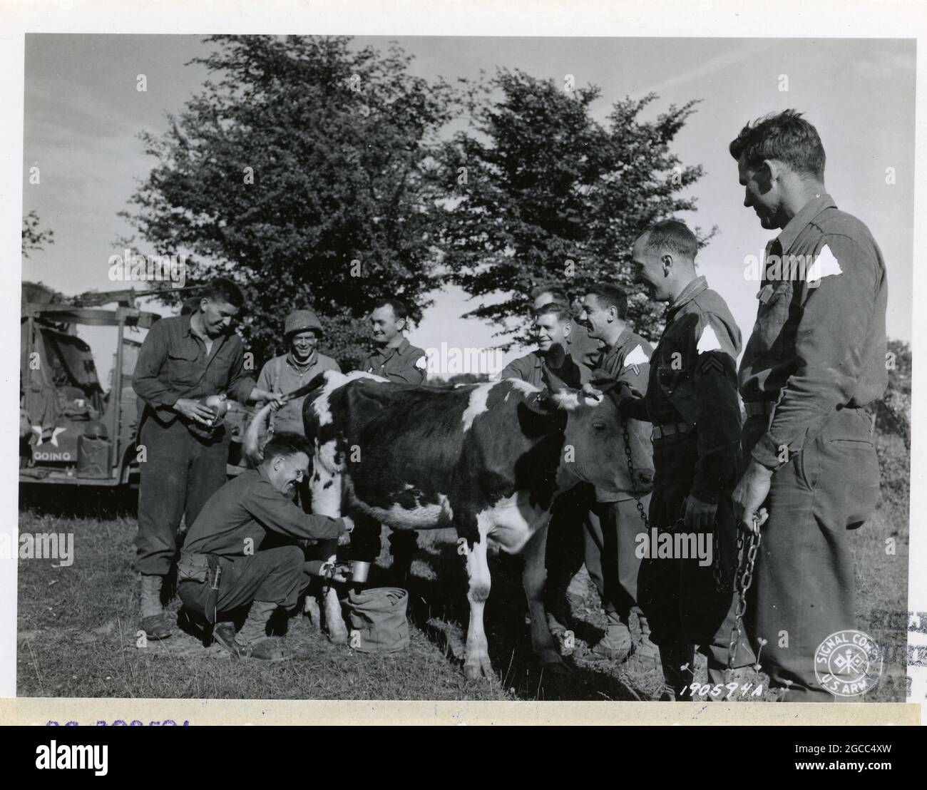 archive, data, storage, business, file, office, document, information ...