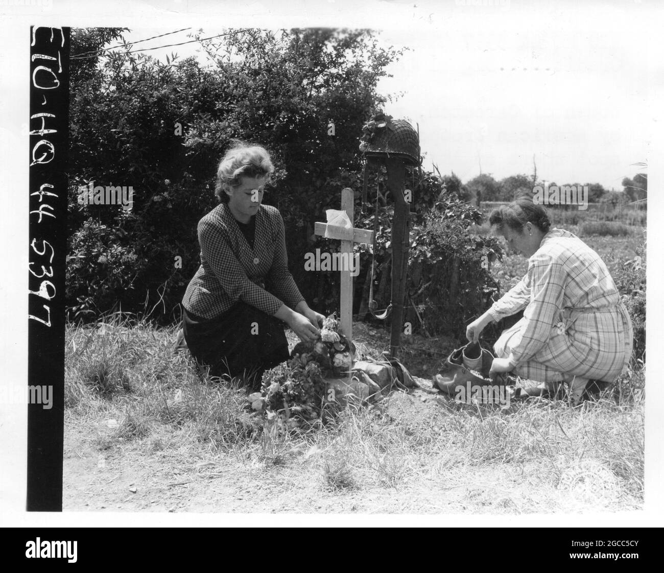 archive, data, storage, business, file, office, document, information ...