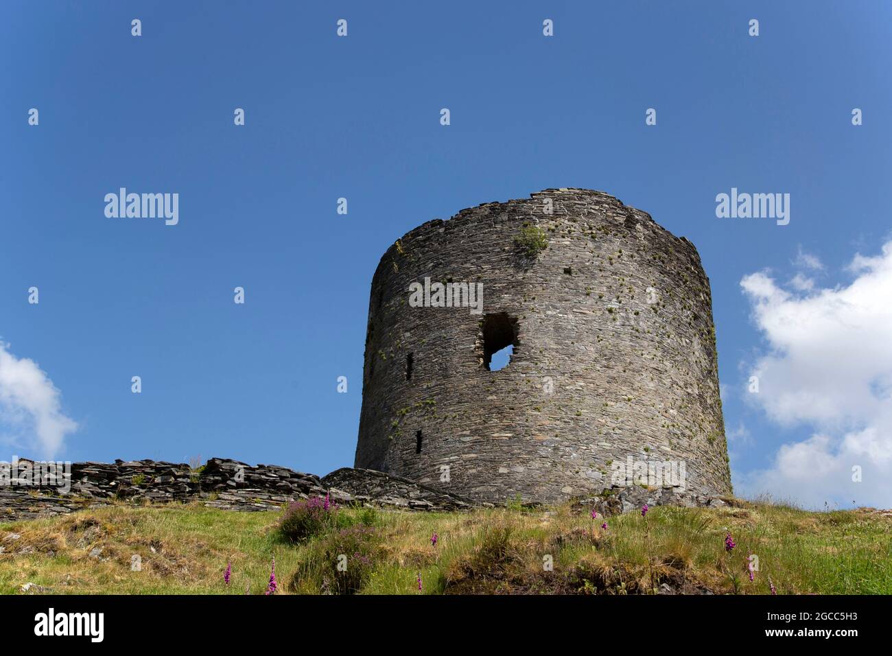 Dolbadarn Castle in Llanberis, Gwynedd, North Wales. Medieval castle on ...