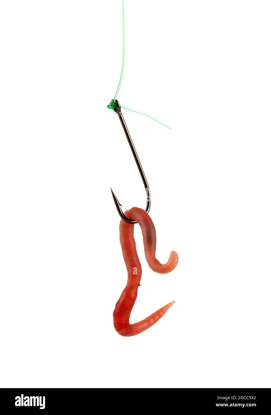 Fish hook with worm isolated on white background Stock Photo - Alamy