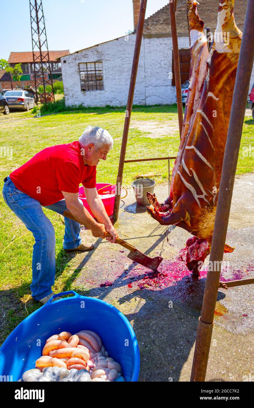 Pig entrails hi-res stock photography and images - Alamy