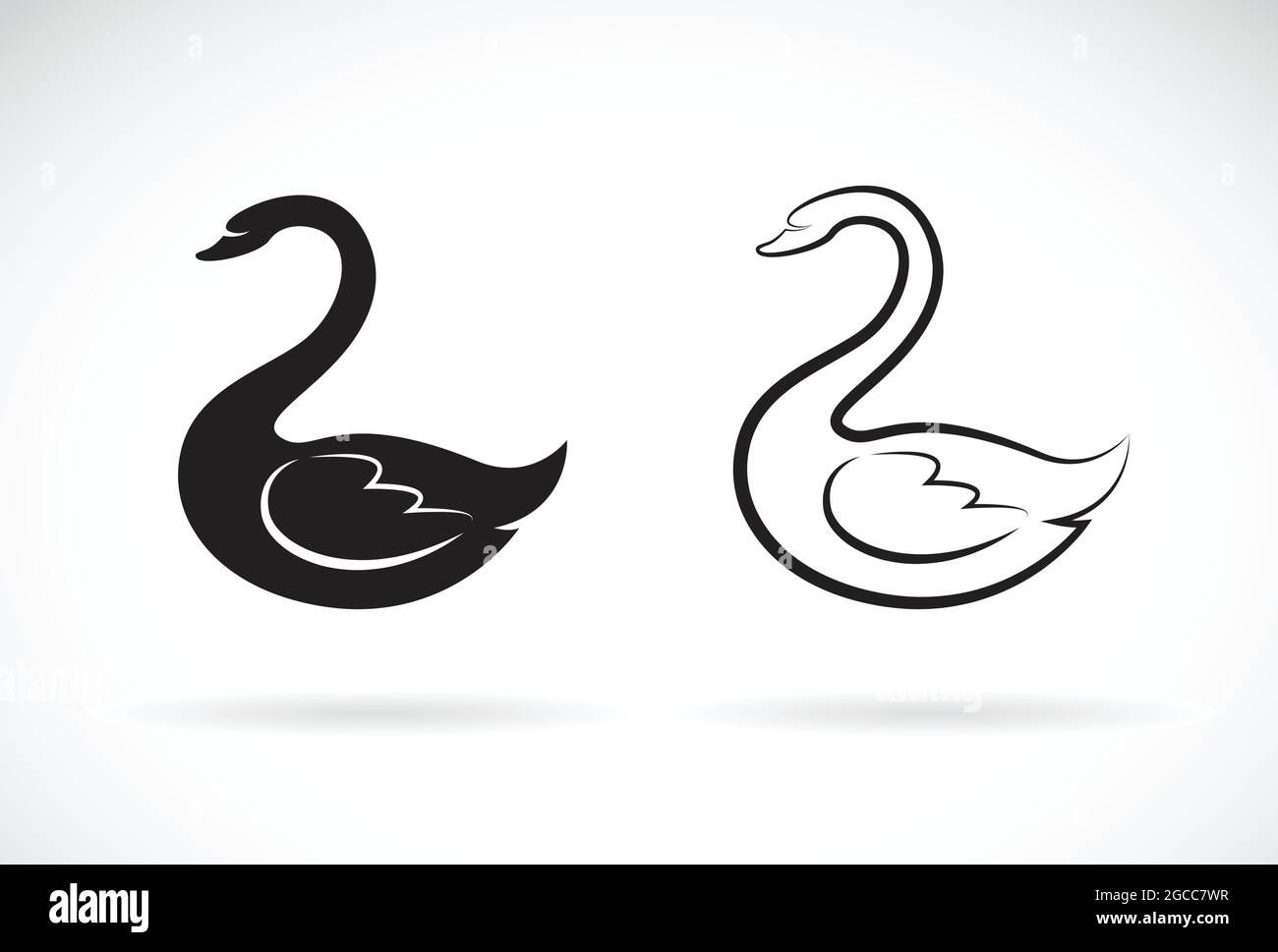 Vector of swan design on a white background. Animal. Easy editable ...
