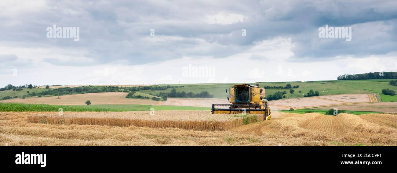 combine during harvest in french countryside landscape near charleville ...