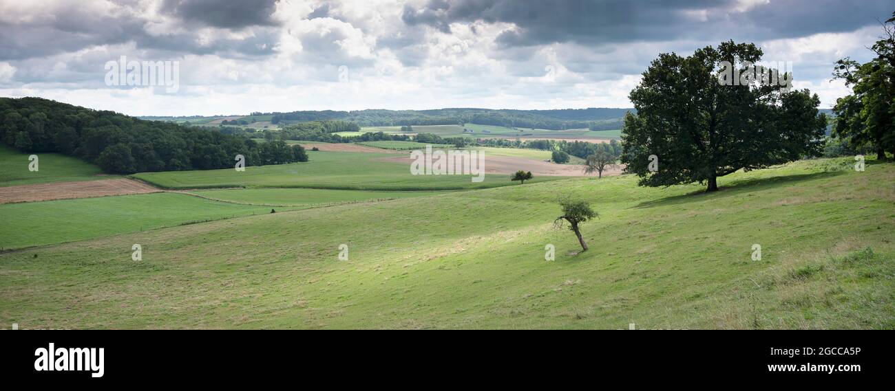 summer countryside landscape with green meadows and village in french ...
