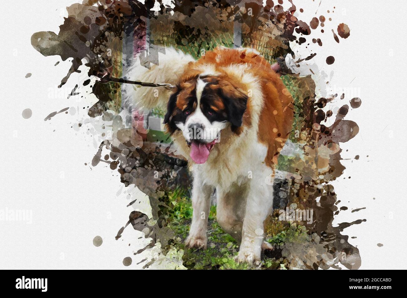 Digital watercolor painting Moscow watchdog. Adult male dog strolling ...