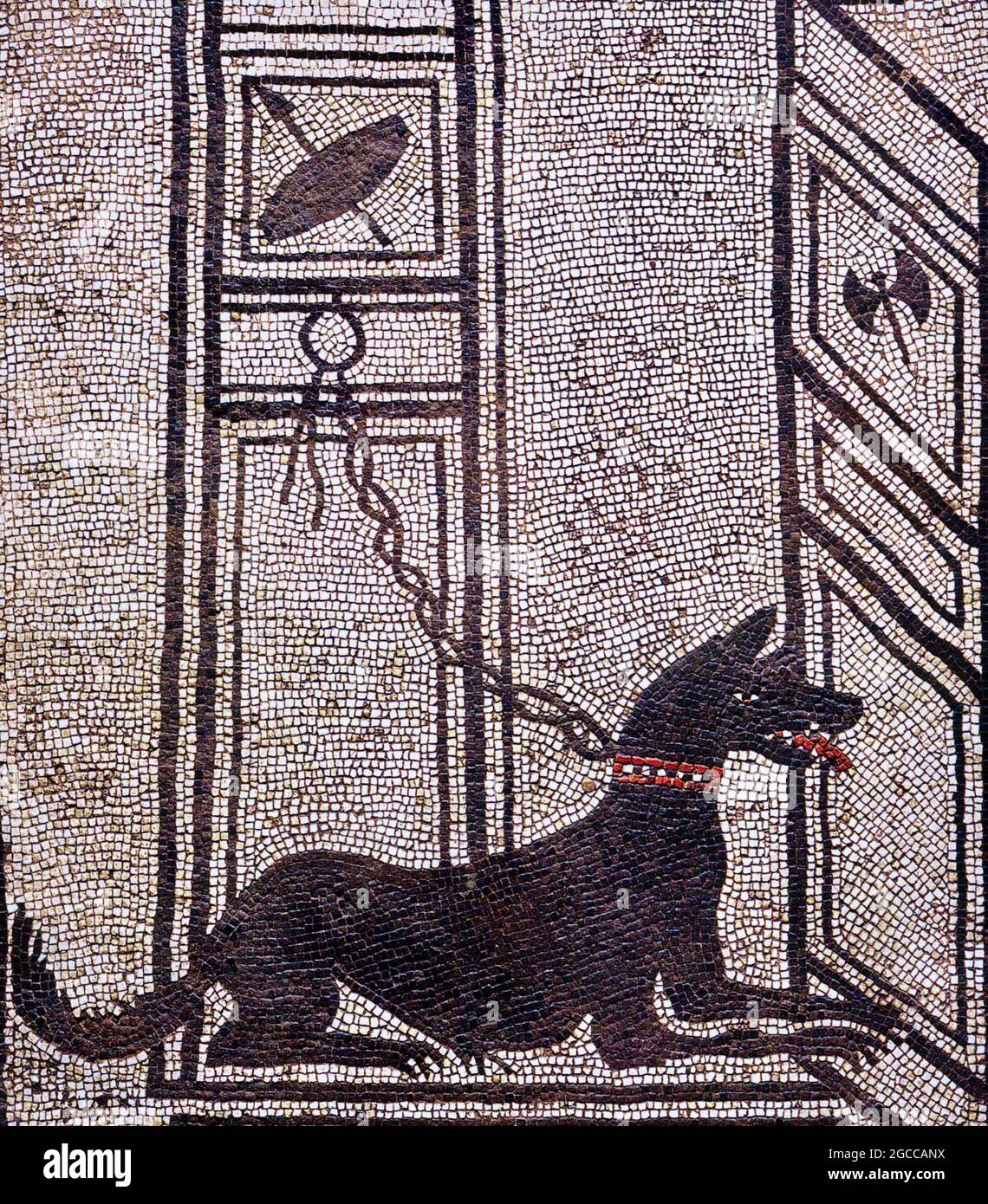 Pompeii Volcano Dog