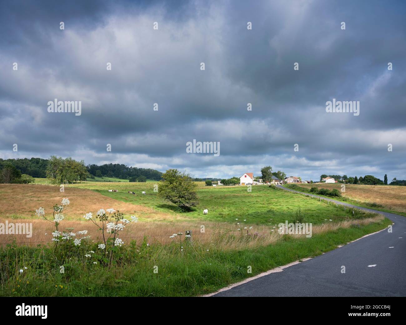 summer countryside landscape with green meadows and village in french ...