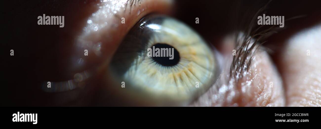 Human blue eye on which light ray shines Stock Photo - Alamy