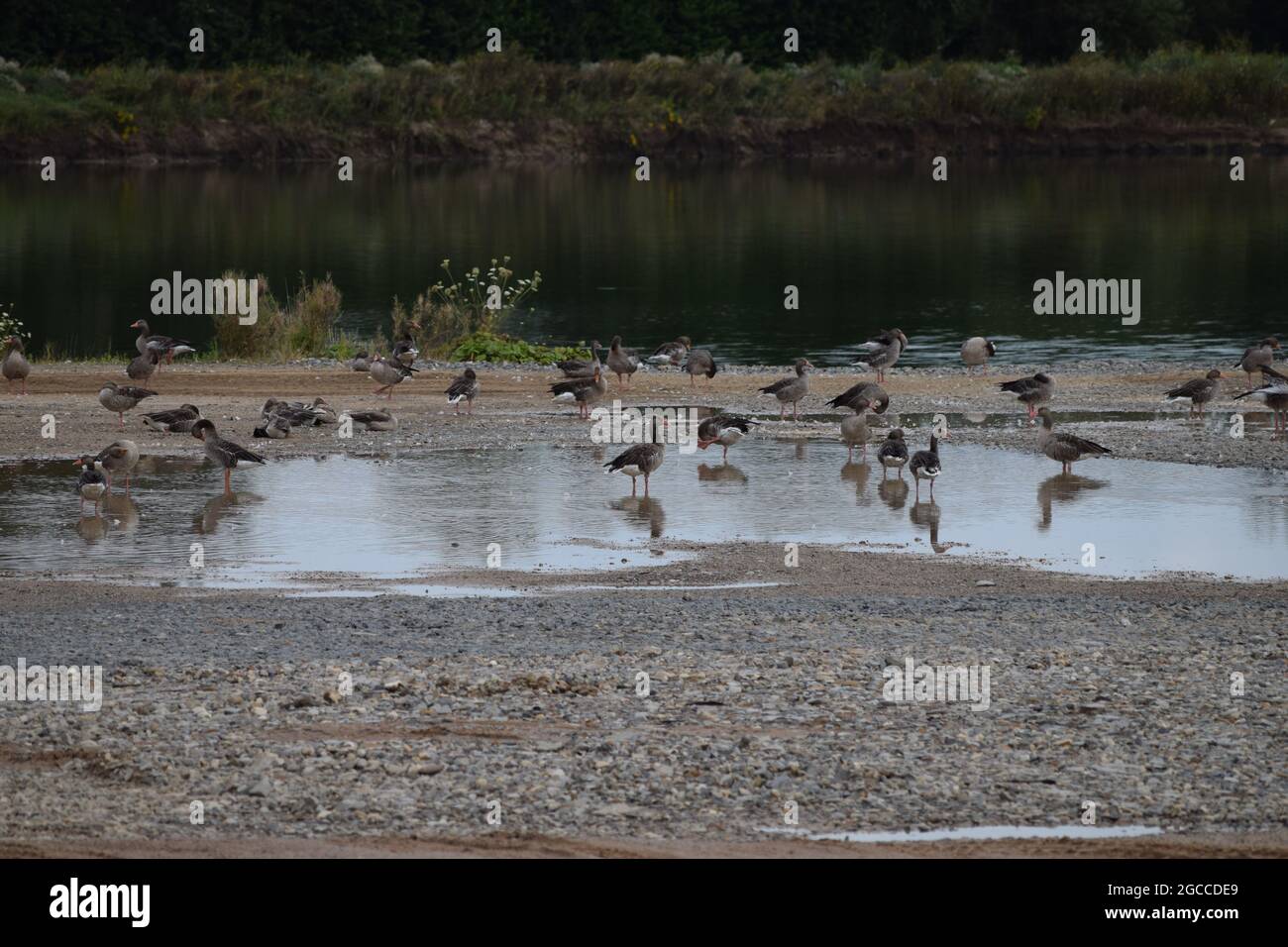 Warm shallow water hi-res stock photography and images - Alamy