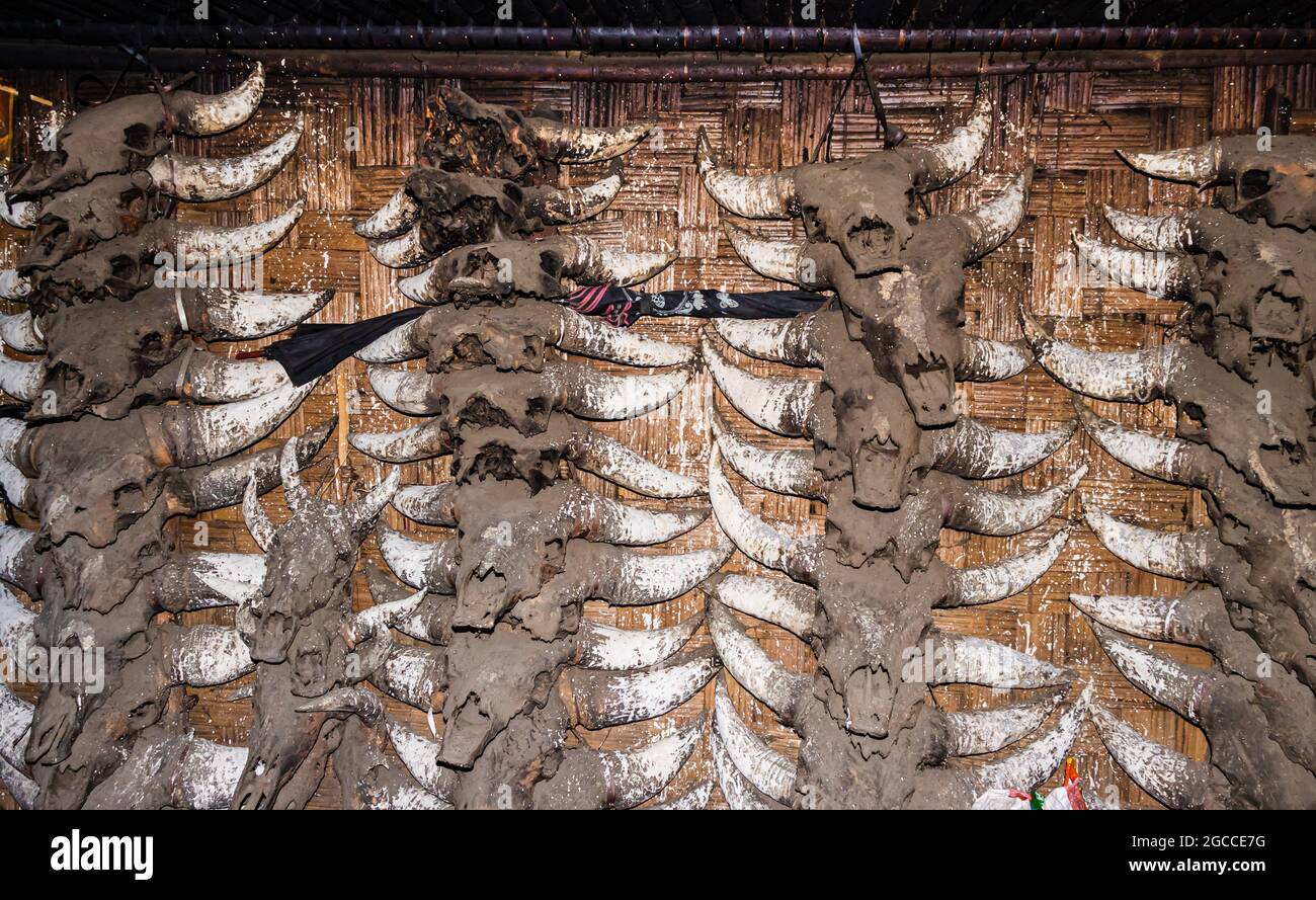 sacrificed animal Skeleton heads at authentic tribal home from flat ...