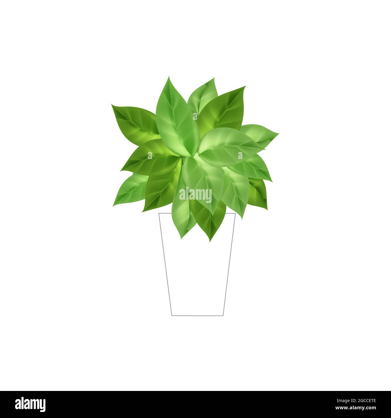 Save environment rescue the forests.Tree growing plant leaves ...