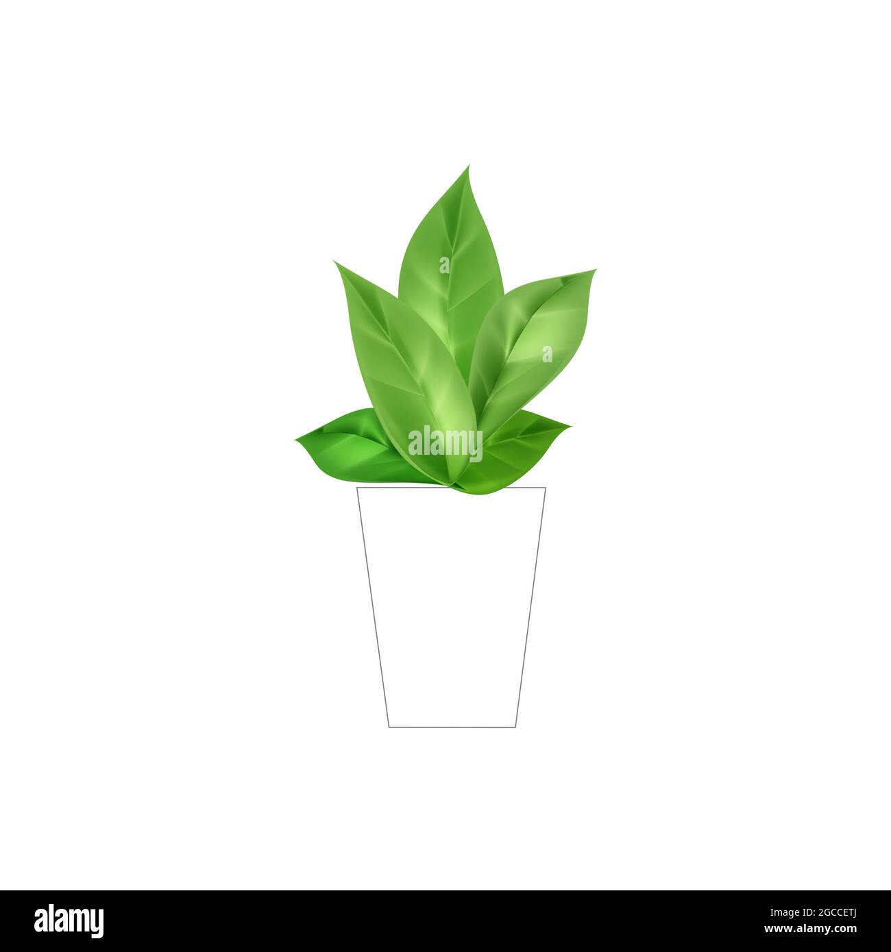 Save environment rescue the forests.Tree growing plant leaves ...