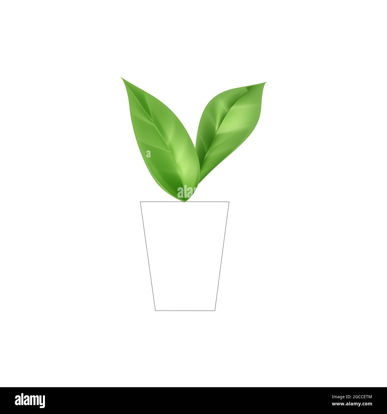 Save environment rescue the forests.Tree growing plant leaves ...