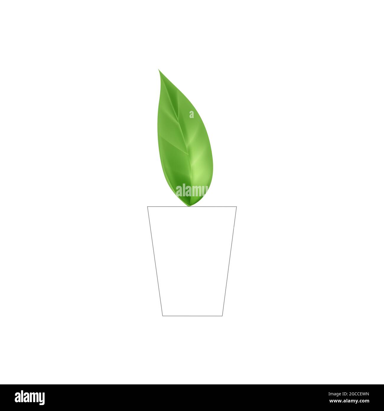 Save environment rescue the forests.Tree growing plant leaves ...