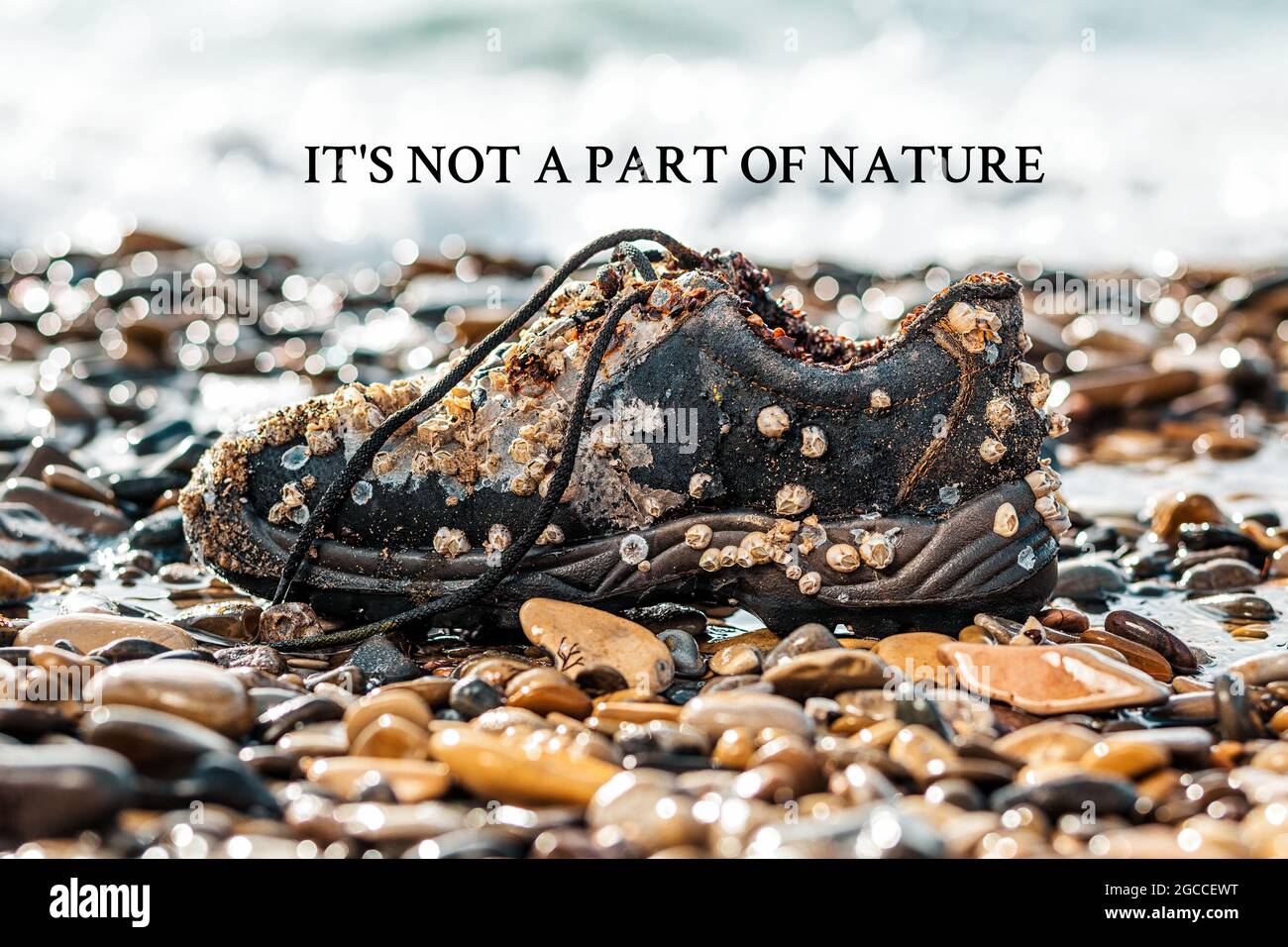 Concept of environmental protection and pollution. An old Shoe covered ...