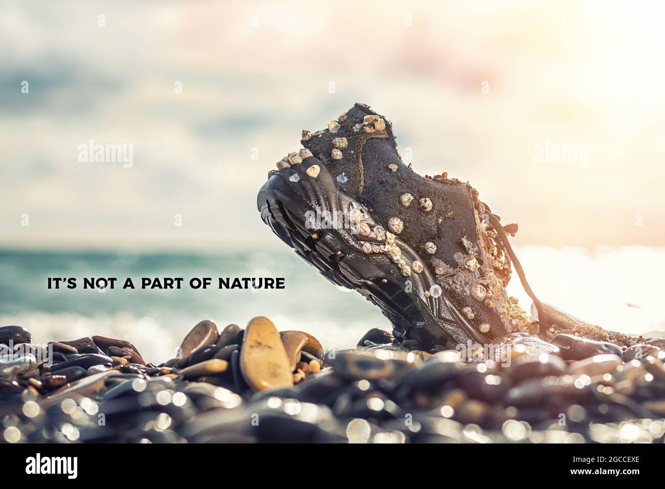 Concept of environmental protection and pollution. An old Shoe, covered ...