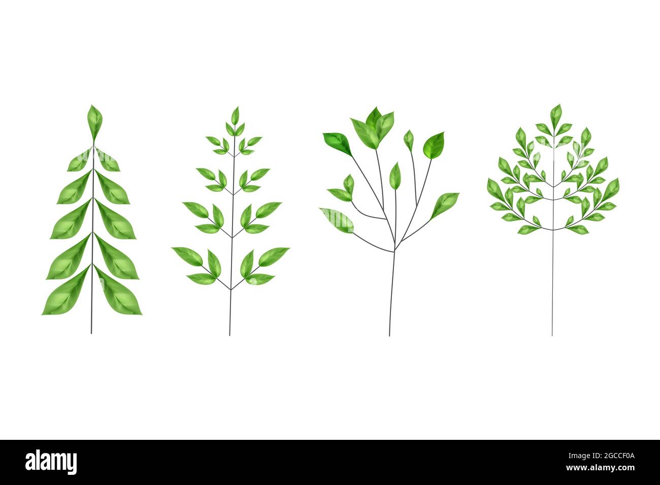 Save environment rescue the forests.Tree growing plant leaves ...