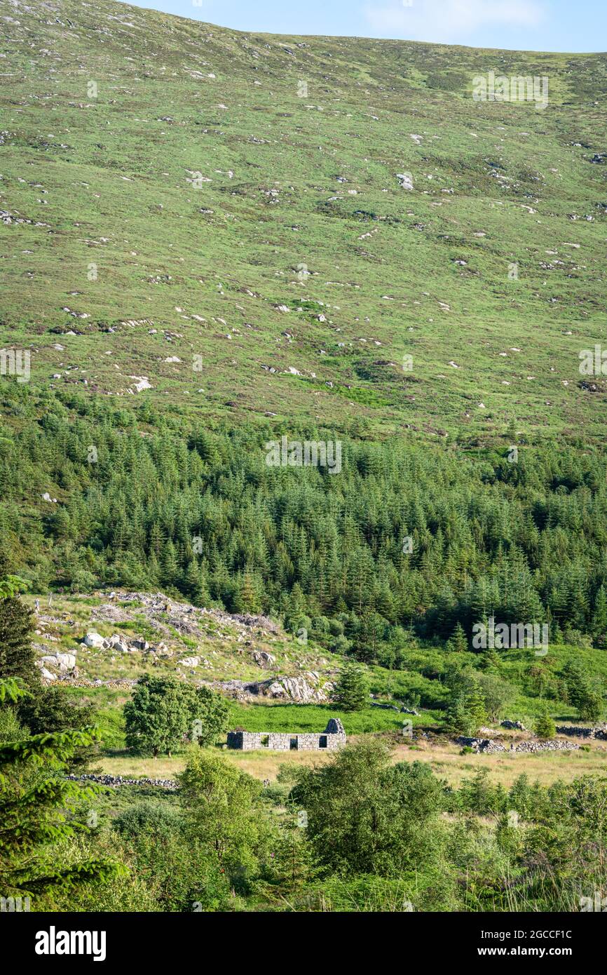 Alexander Murray ruined Cottage and the environment around, Dumfries ...