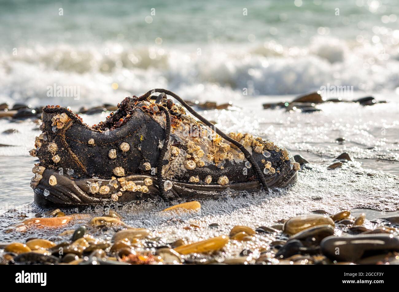 Concept of environmental protection and pollution. An old Shoe covered ...