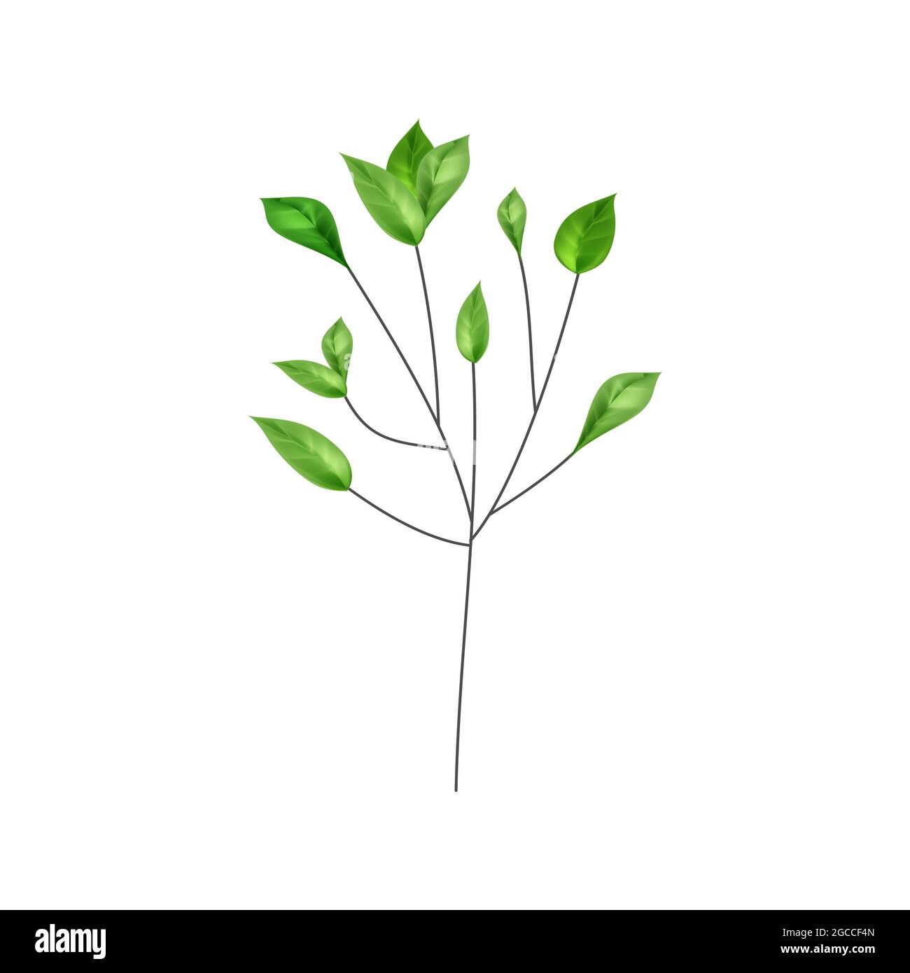 Save environment rescue the forests.Tree growing plant leaves ...