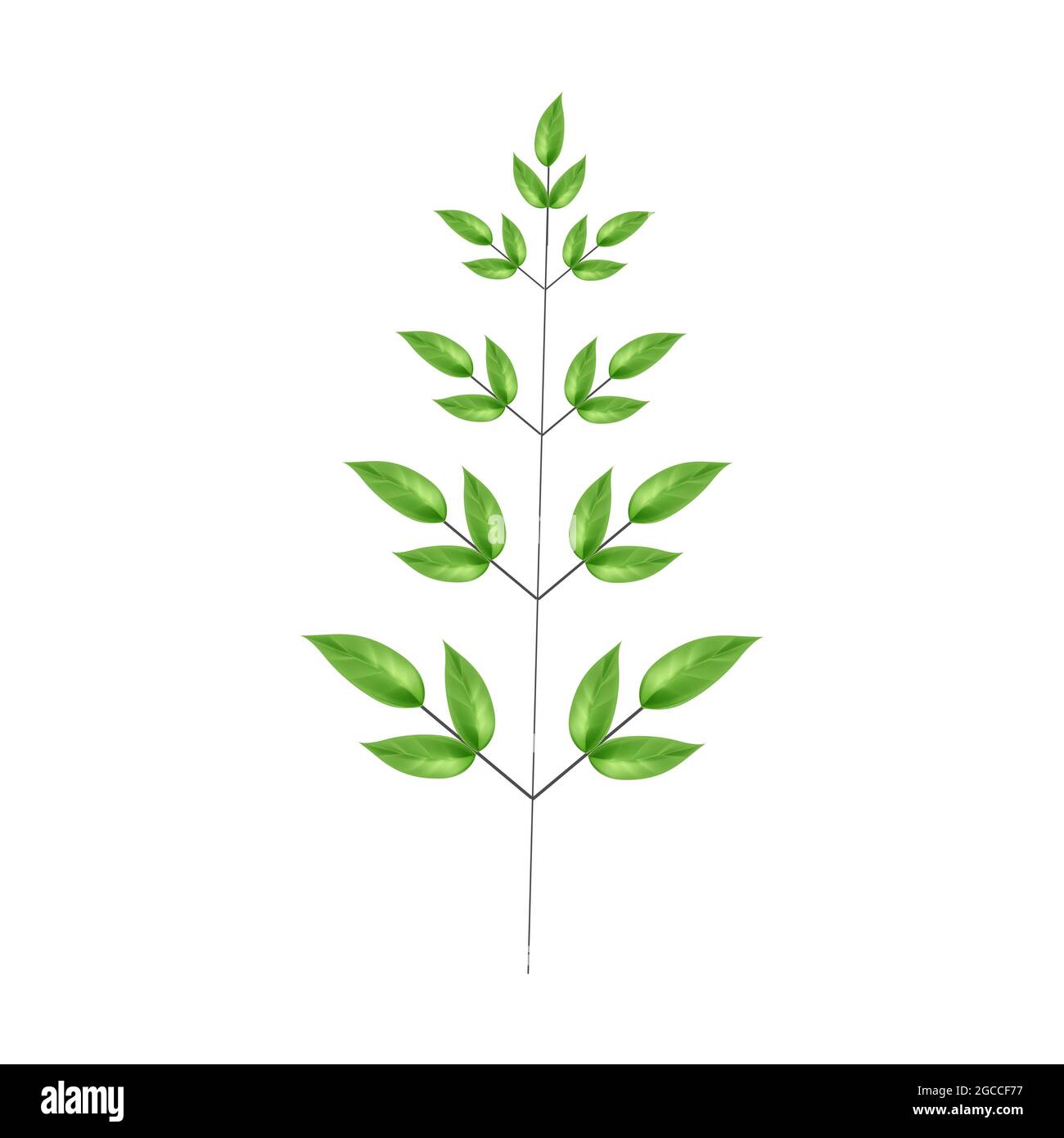 Save environment rescue the forests.Tree growing plant leaves ...