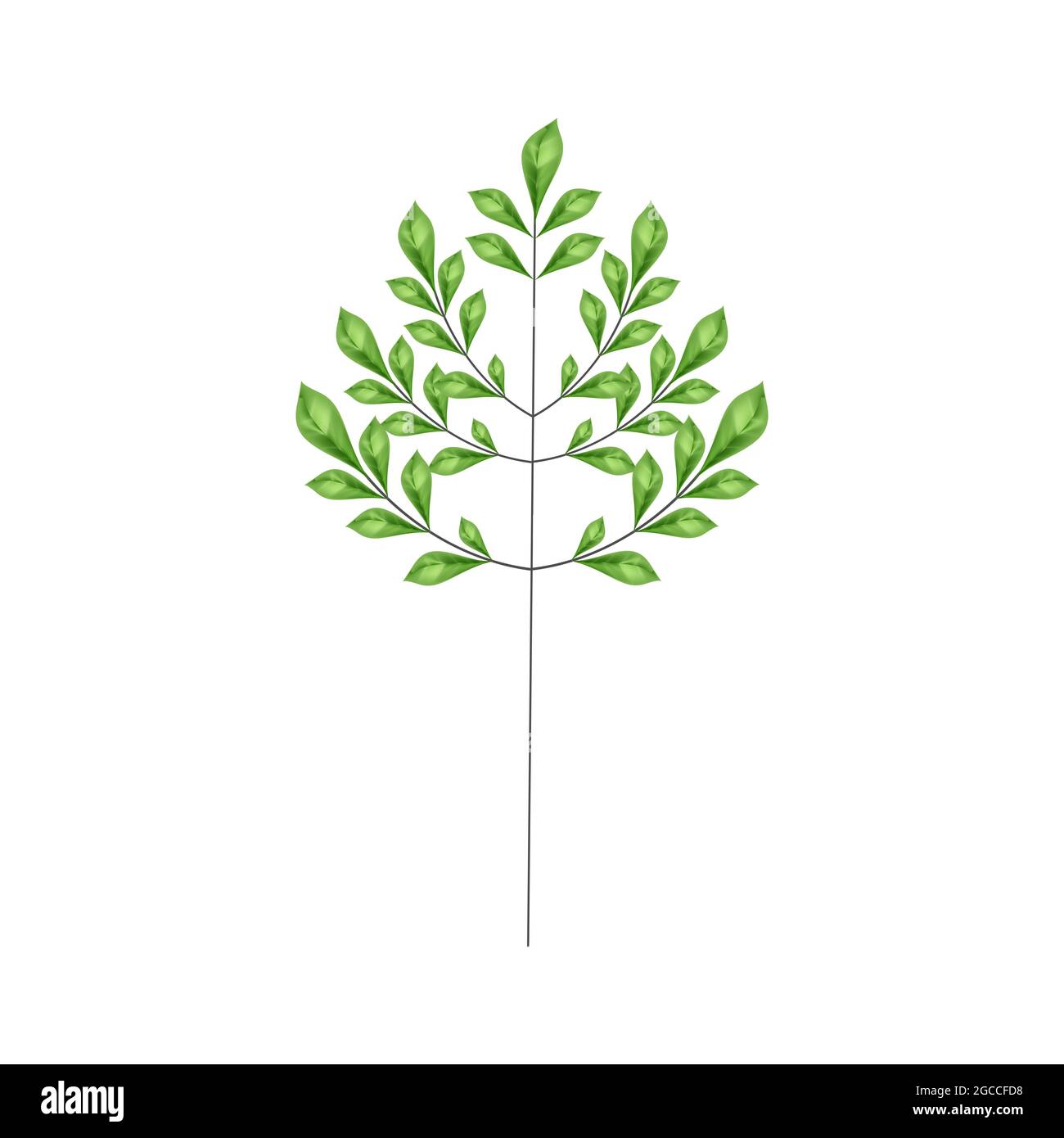 Save environment rescue the forests.Tree growing plant leaves ...
