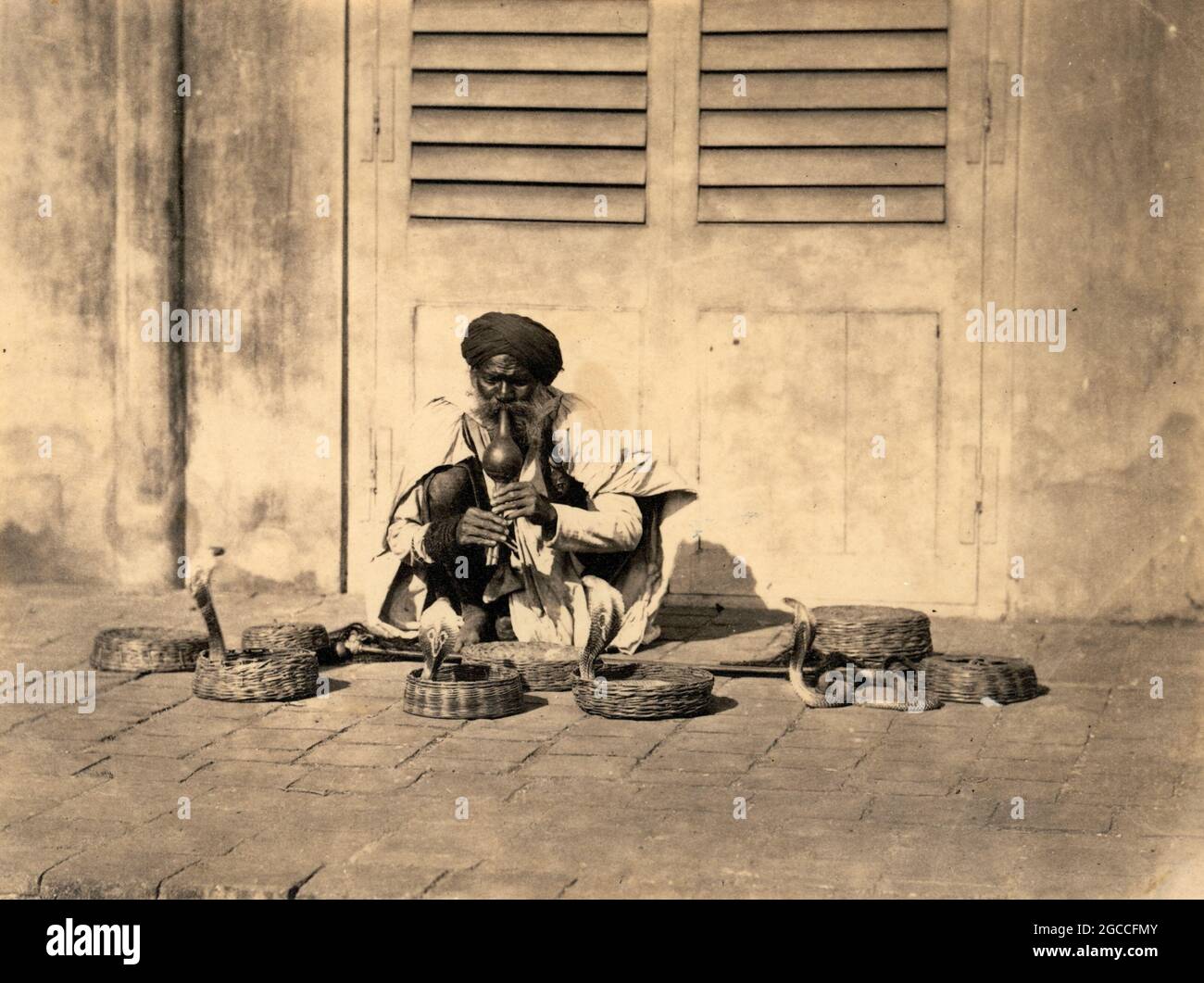 photo, archive, photograph, photography, background, memory, vintage ...