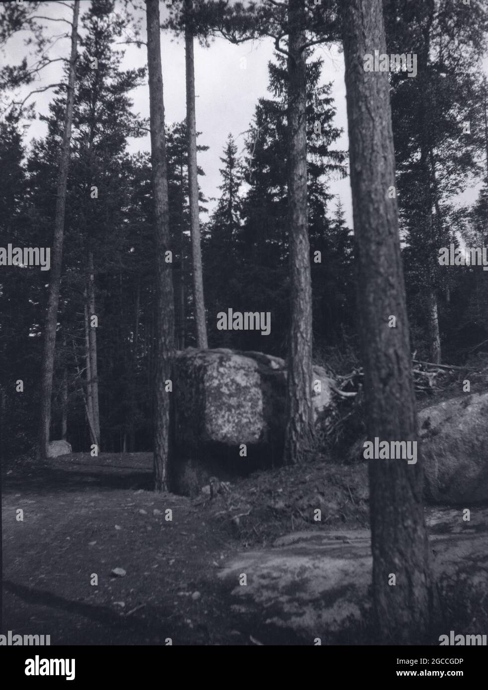 photo, archive, photograph, photography, background, memory, vintage ...