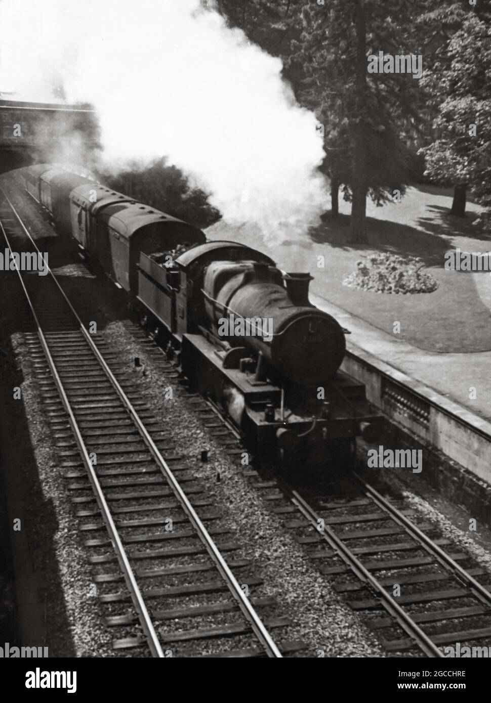 photo, archive, photograph, photography, background, memory, vintage ...