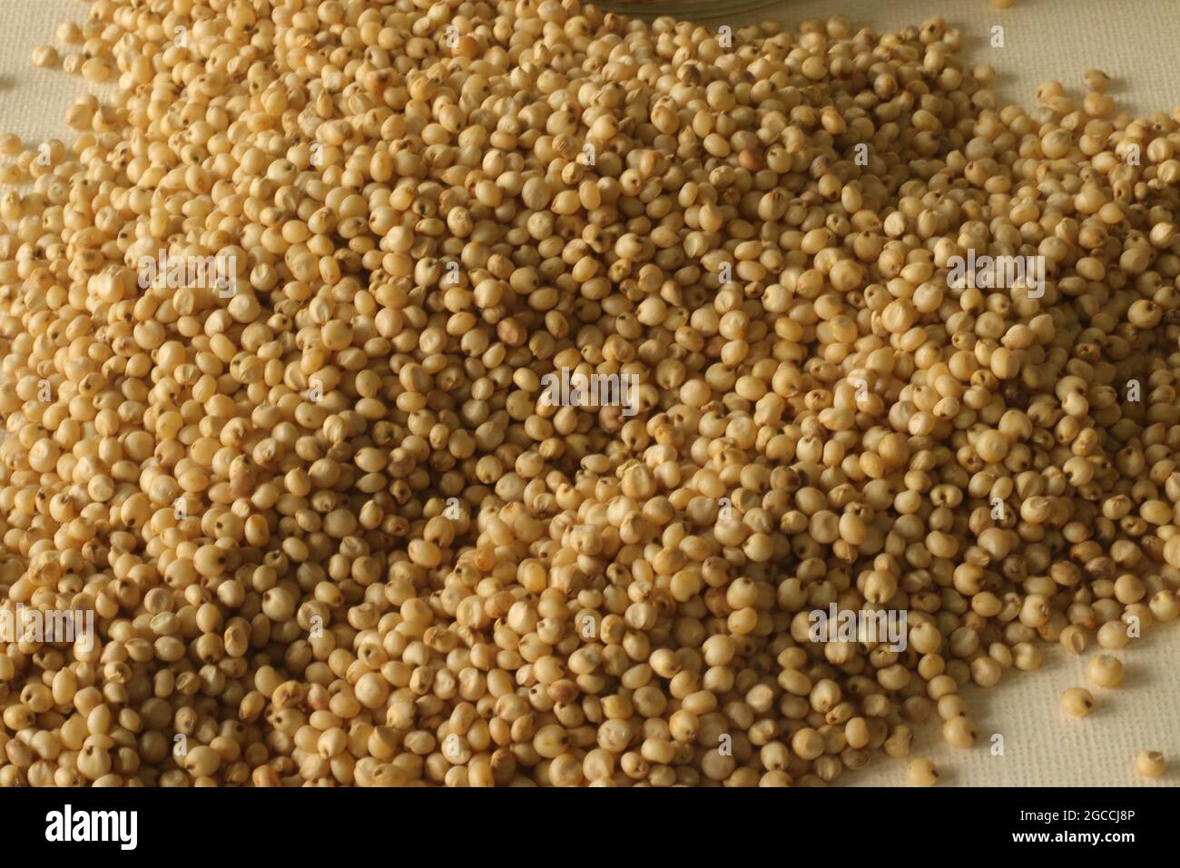 Rajgira hi-res stock photography and images - Alamy