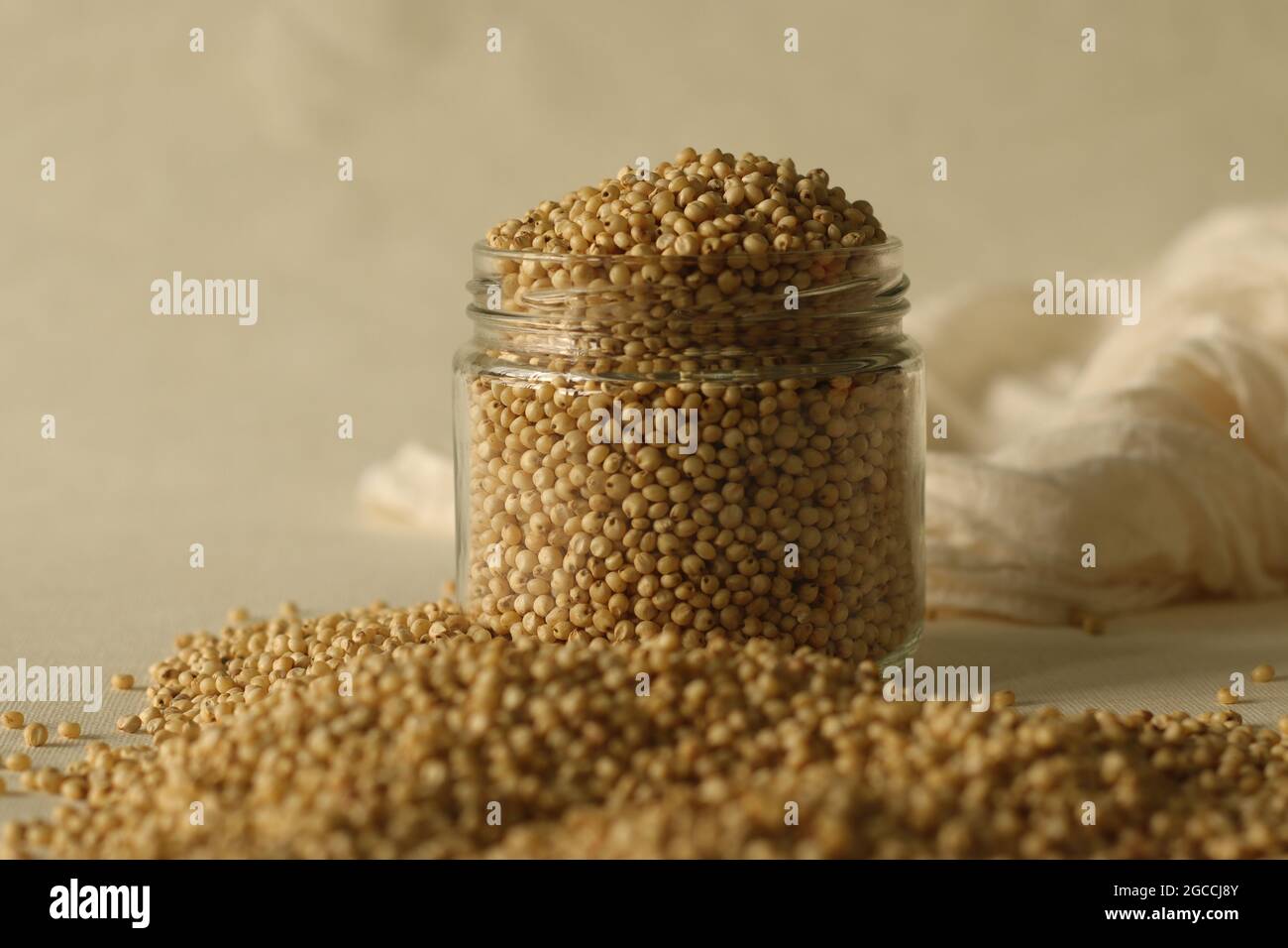 Sorghum and also known as great millet, durra, jowari, jowar, milo is a ...