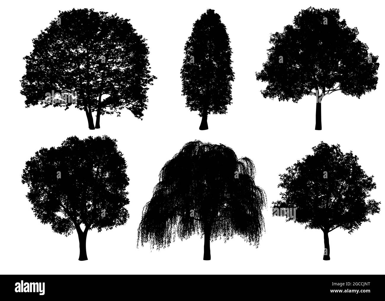 Beautiful collection tree silhouettes and cutting on a white background ...