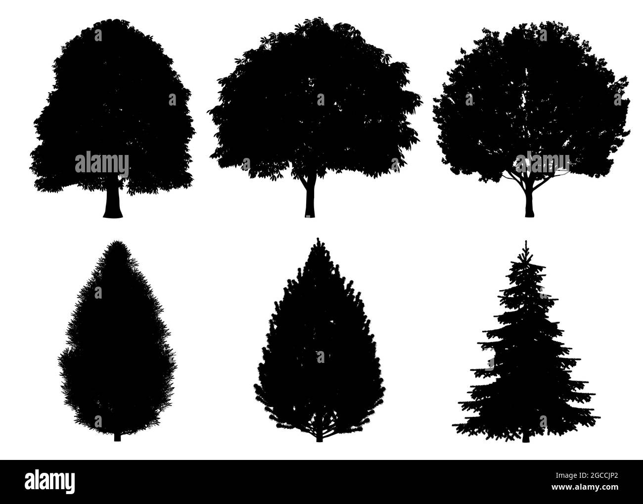 Beautiful collection tree silhouettes and cutting on a white background ...