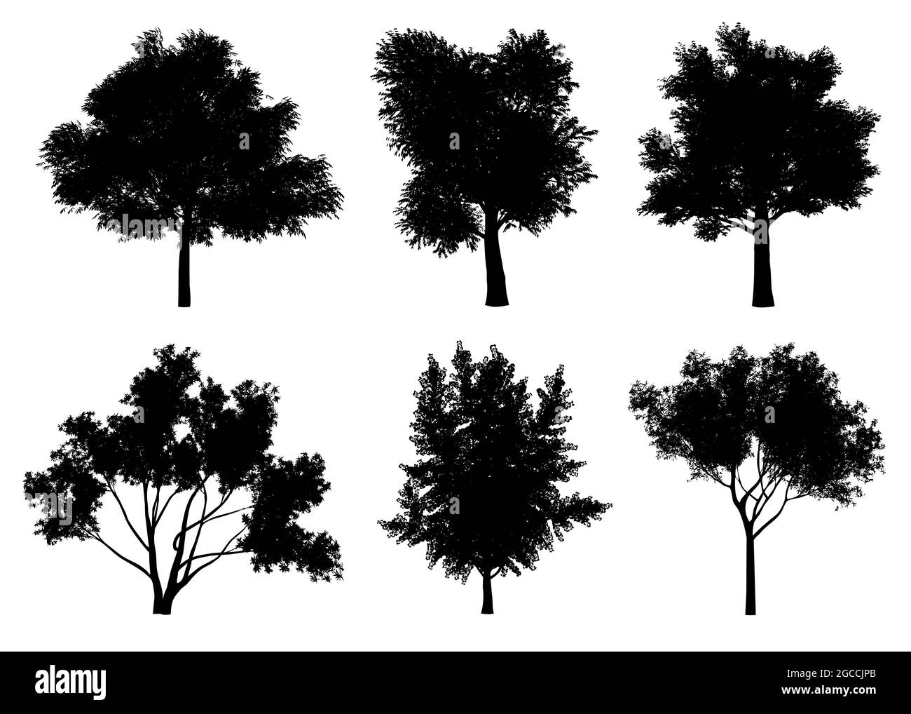 Beautiful collection tree silhouettes and cutting on a white background ...