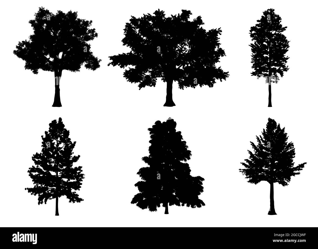 Beautiful collection tree silhouettes and cutting on a white background ...