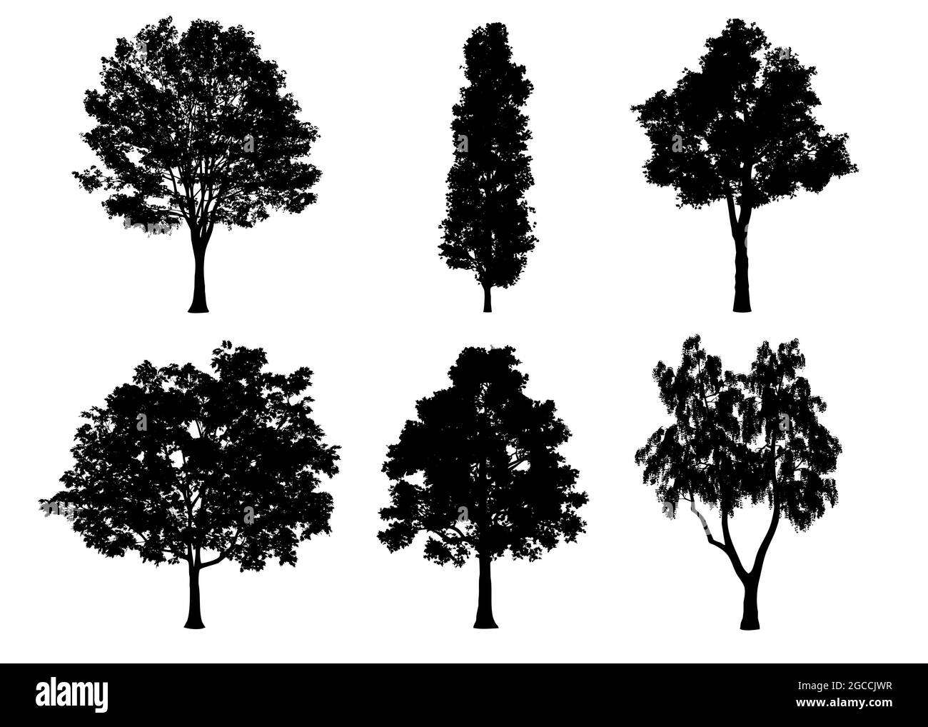 Beautiful collection tree silhouettes and cutting on a white background ...