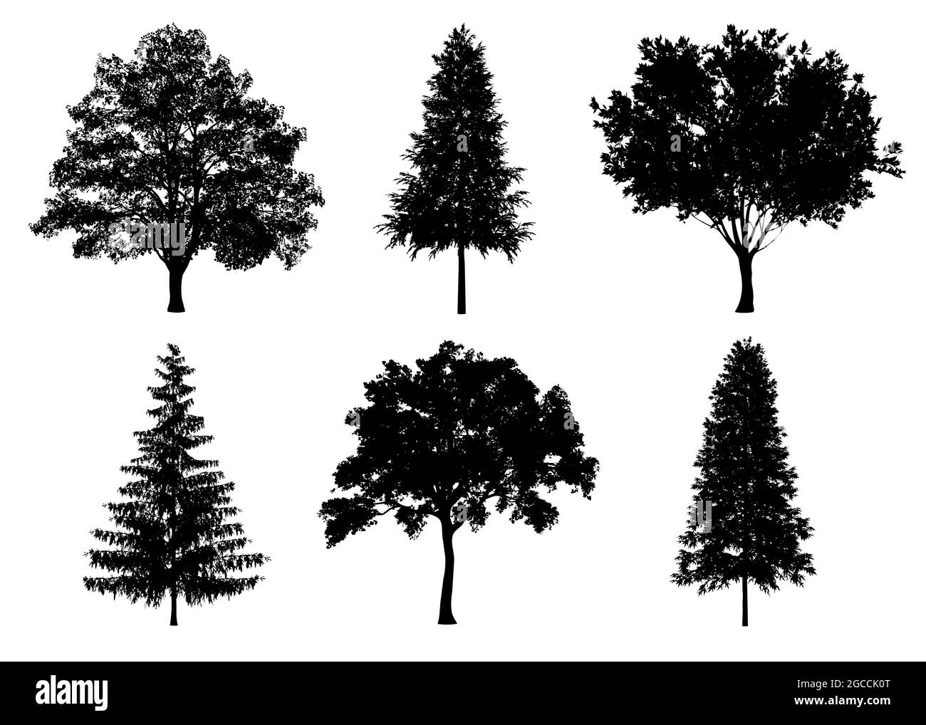 Beautiful collection tree silhouettes and cutting on a white background ...