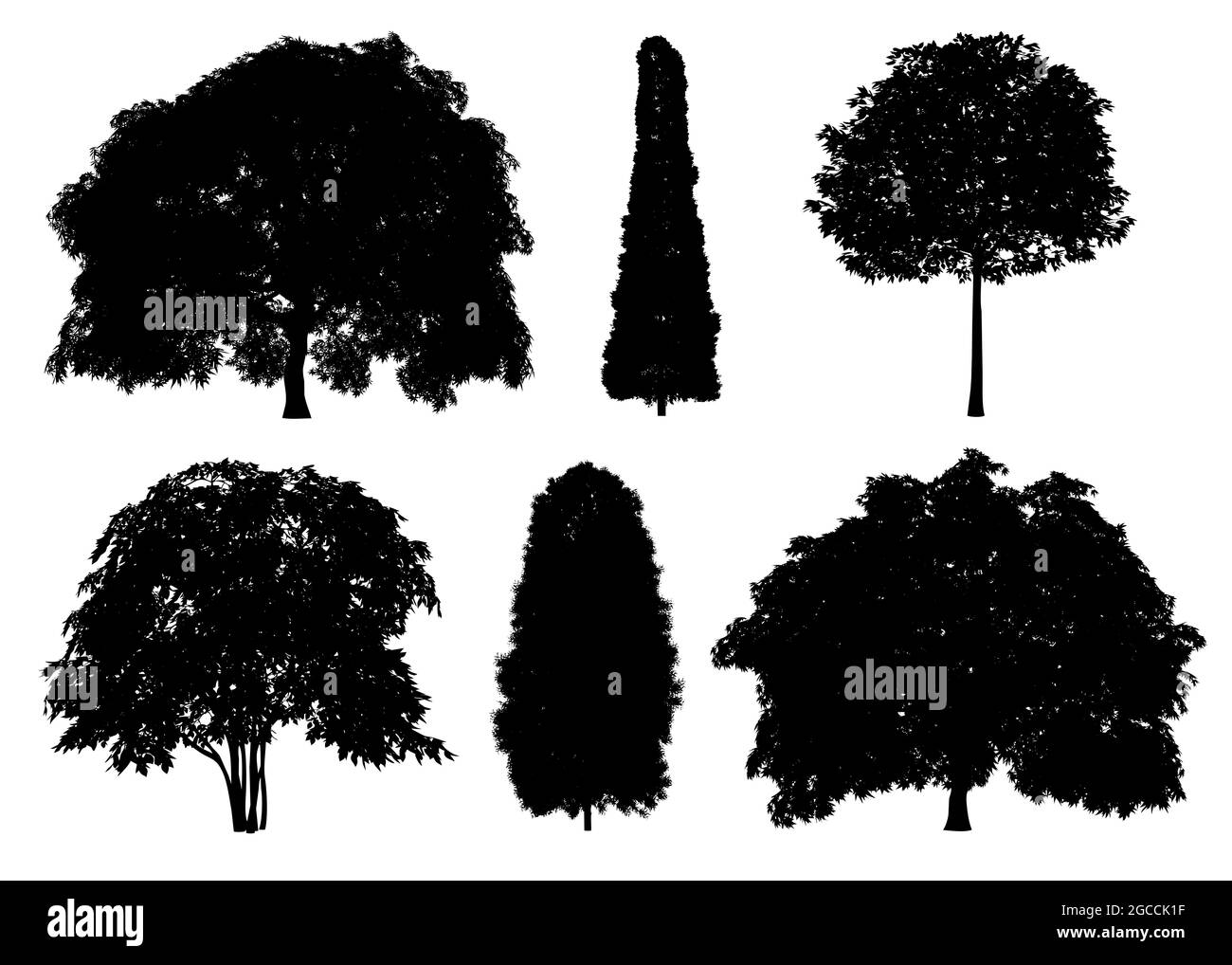 Beautiful collection tree silhouettes and cutting on a white background ...