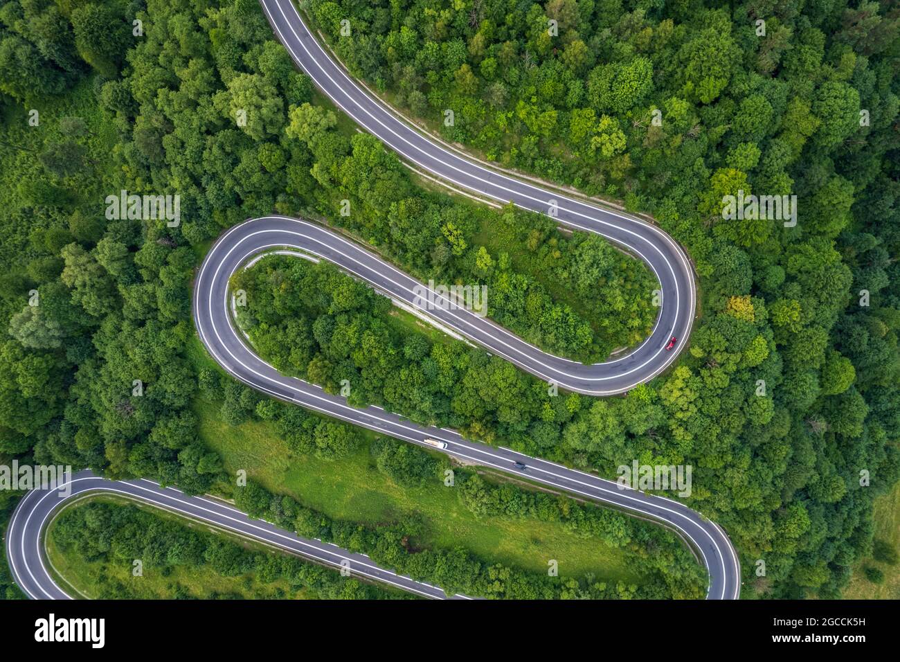 Curved Road Top View