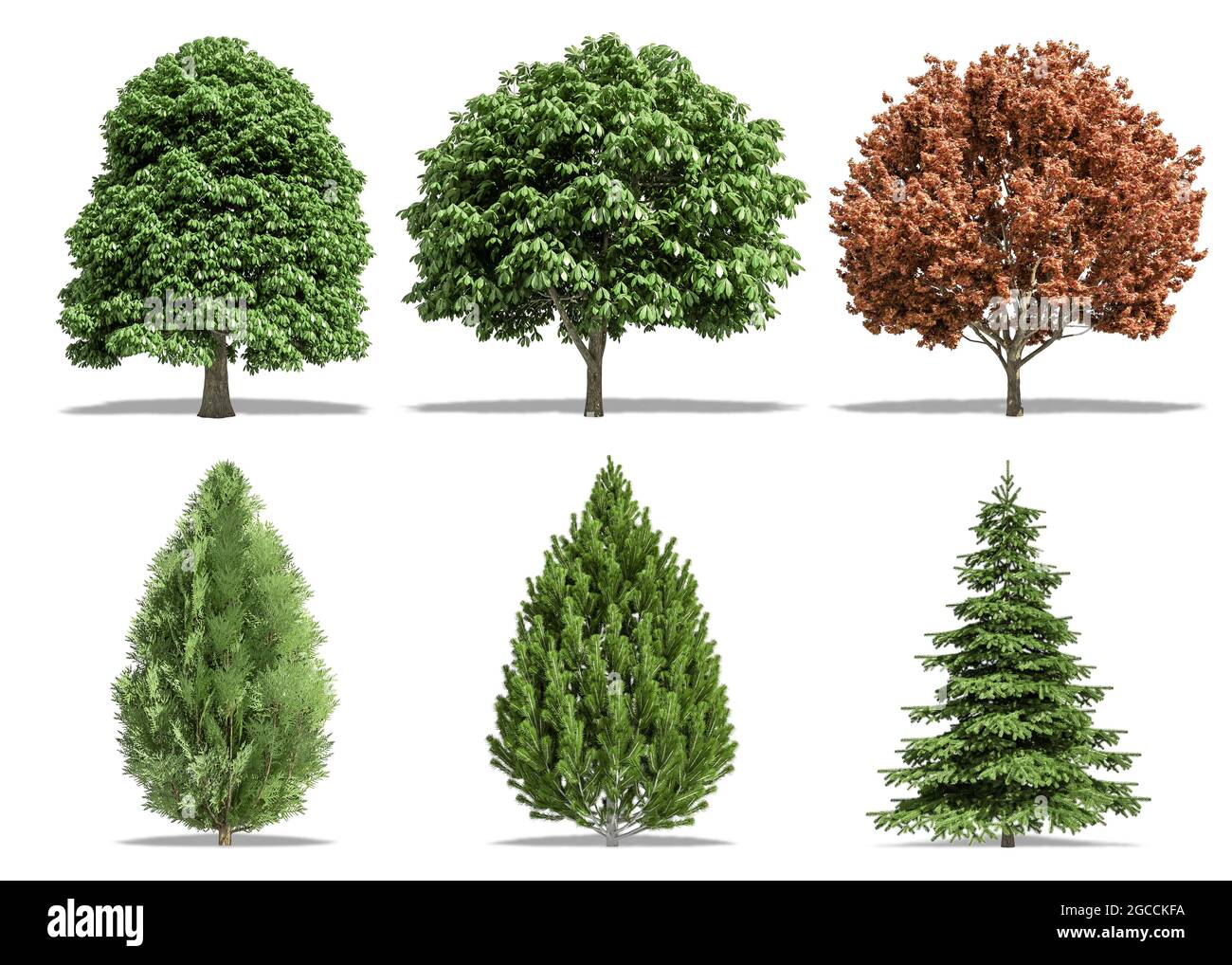 Beautiful collection tree isolated and cutting on a white background ...