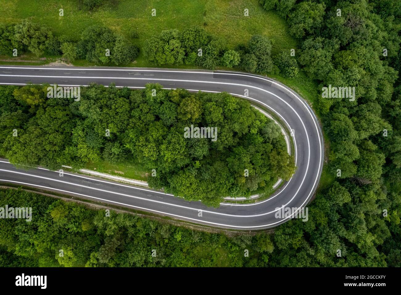 Curved Road Top View