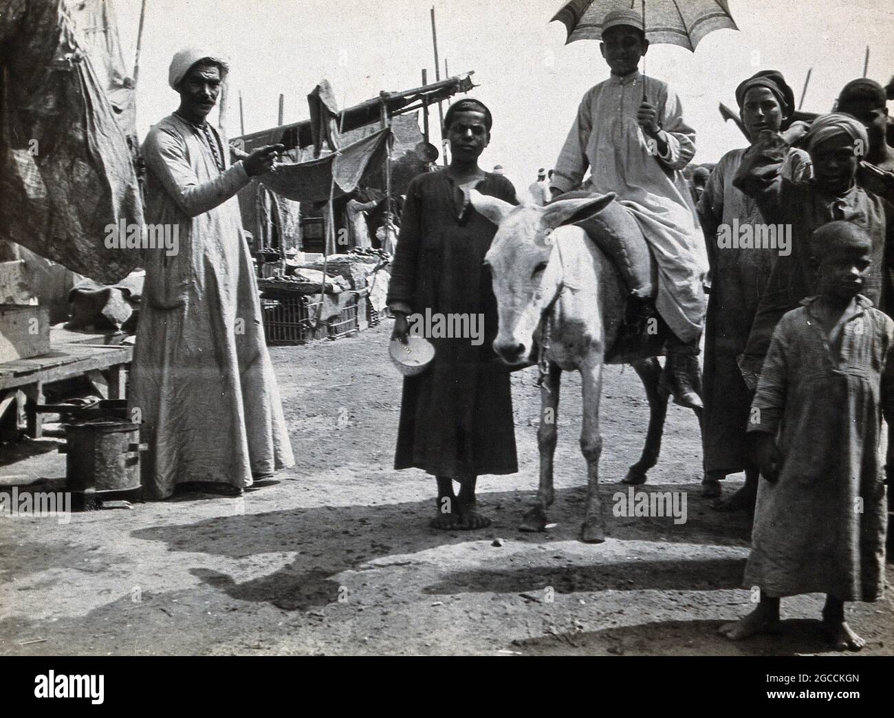 photo, archive, photograph, photography, background, memory, vintage ...