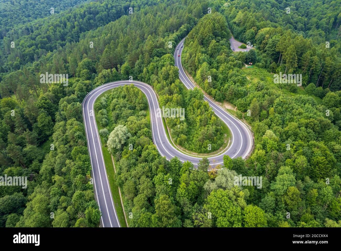 Curved Road Top View