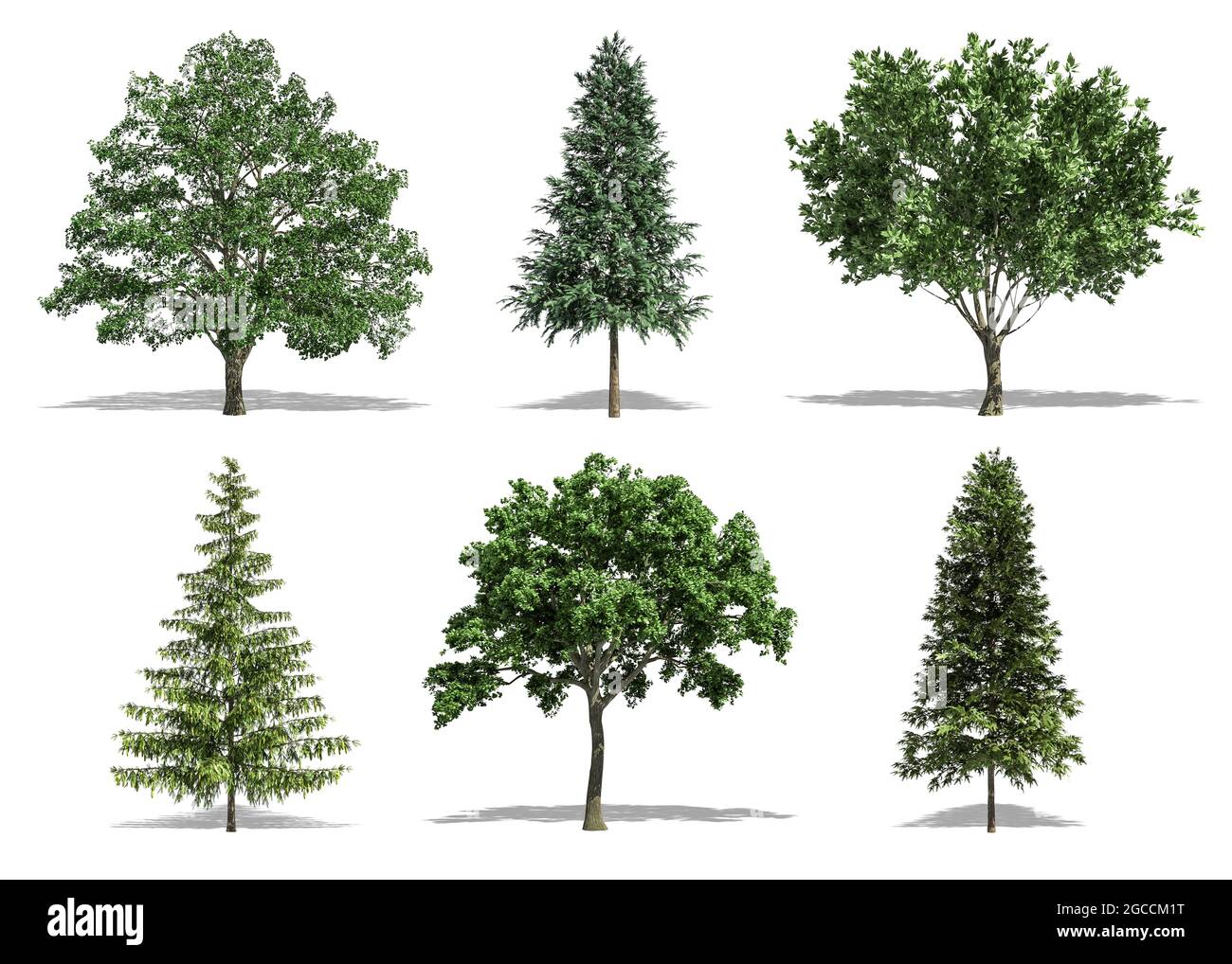 Beautiful collection tree isolated and cutting on a white background ...