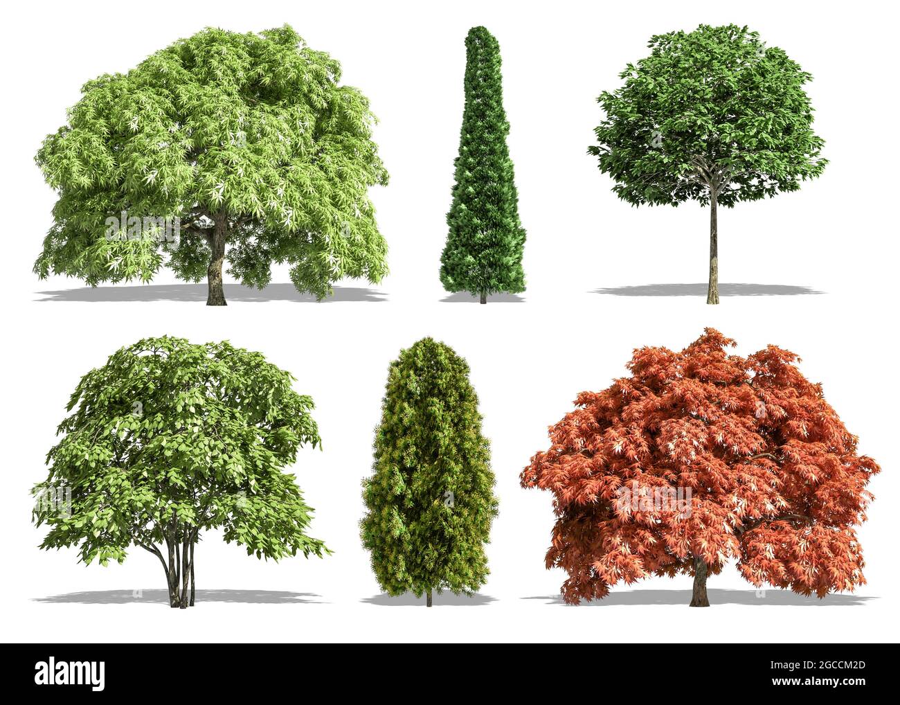 Beautiful collection tree isolated and cutting on a white background ...