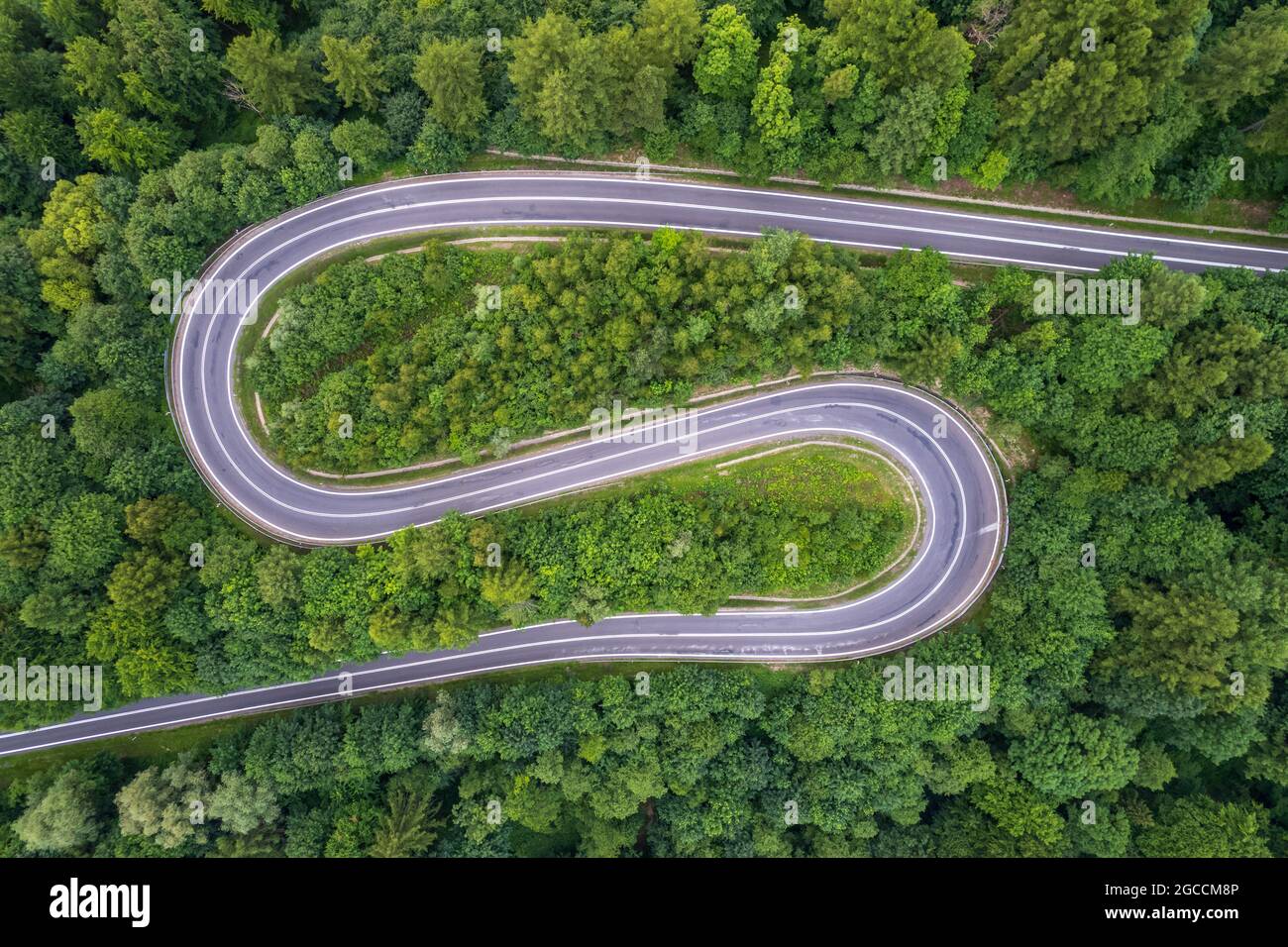 Curved Road Top View