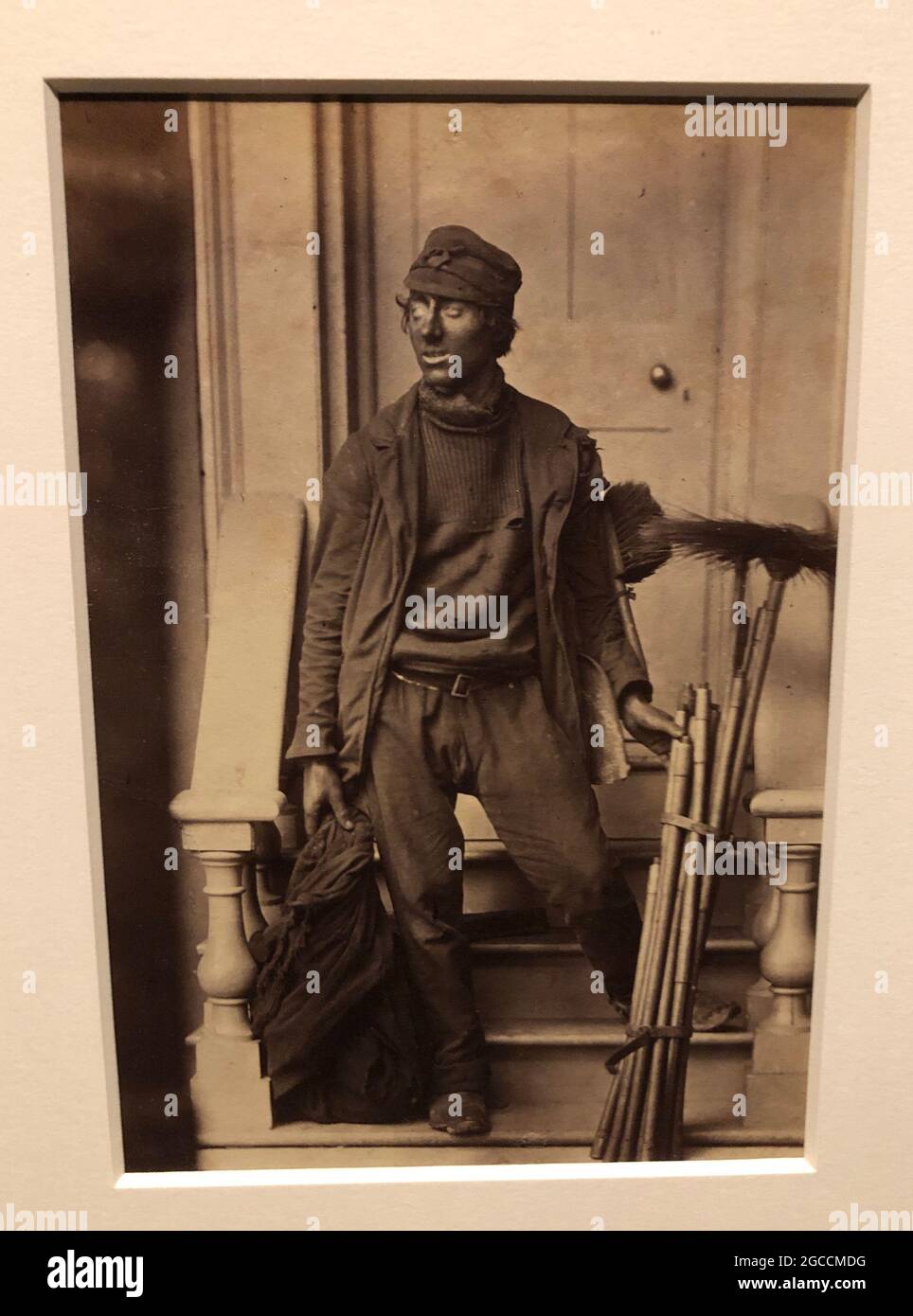 photo, archive, photograph, photography, background, memory, vintage ...