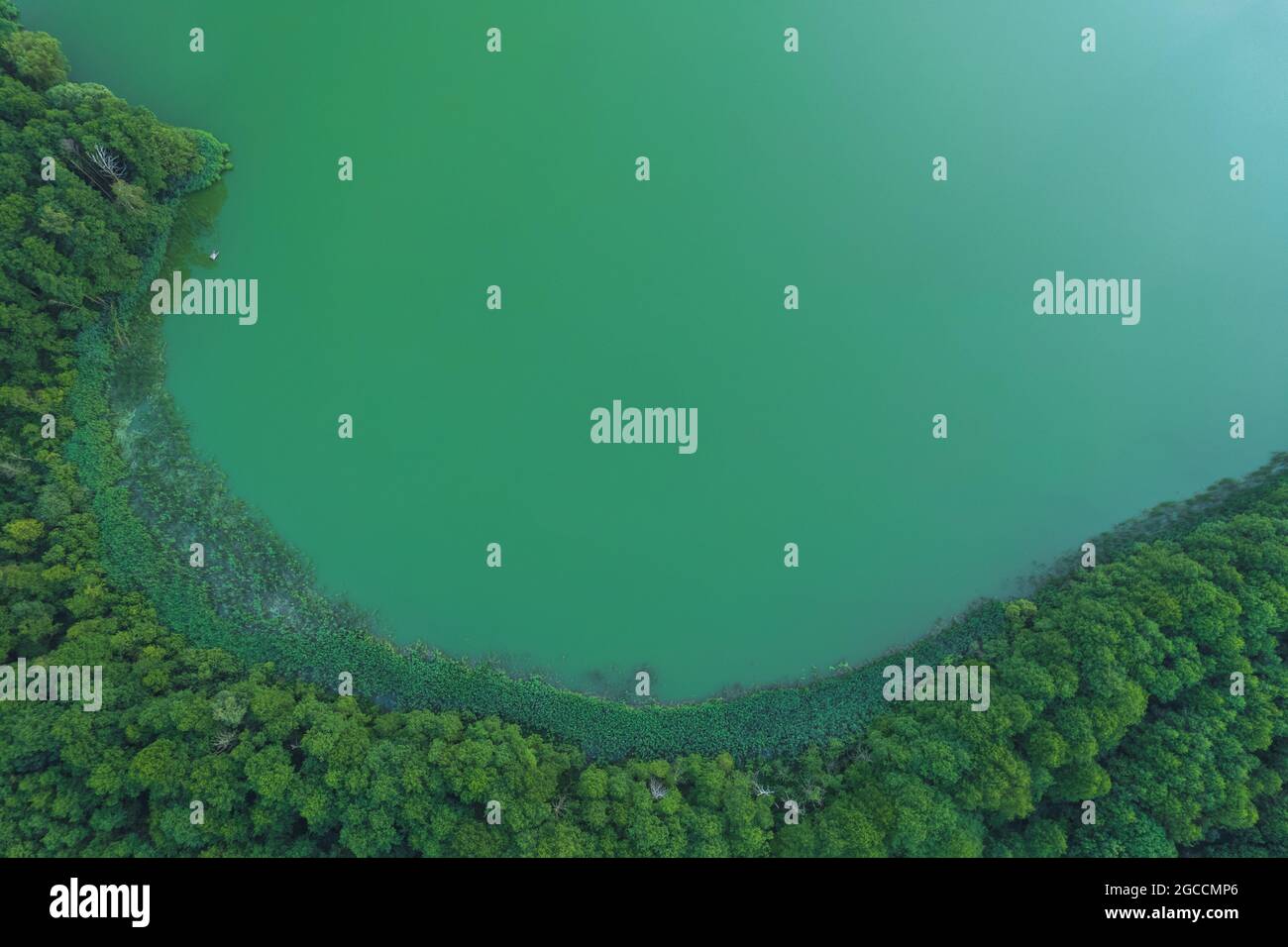 Top down view of green water lake Stock Photo - Alamy