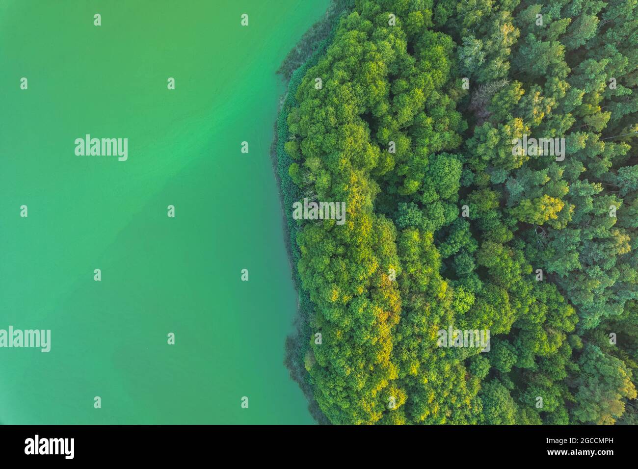 Top down view hi-res stock photography and images - Alamy